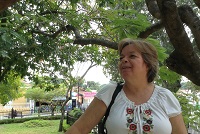 Árbol de Guayuyo – Arboles y Flores en República Dominicana