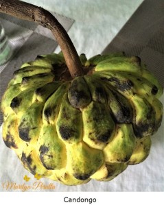 Frutas que se cultivan en República Dominicana – 1 – – Arboles y Flores ...