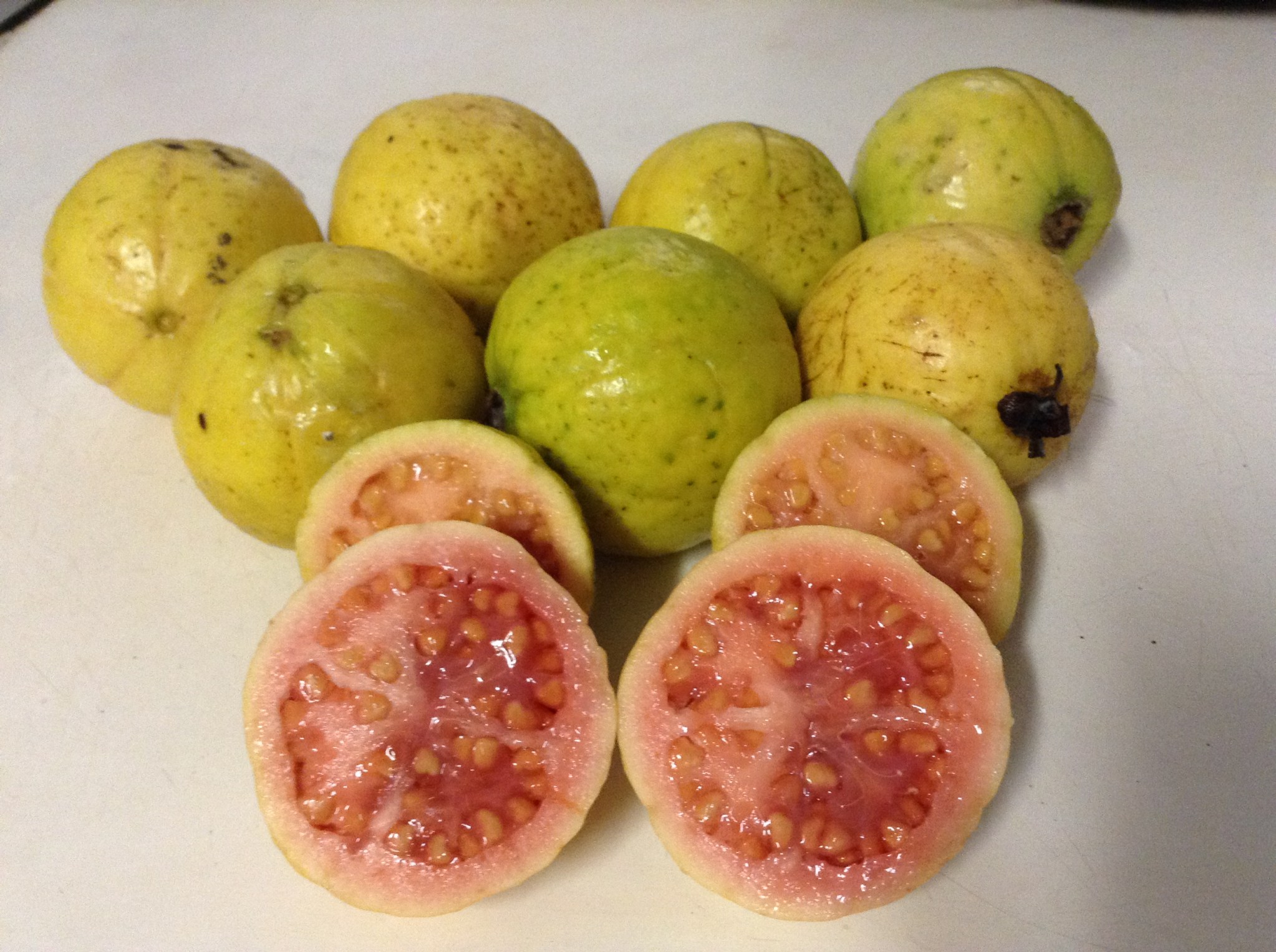 Frutas que se cultivan en República Dominicana – 2 – Arboles y Flores ...